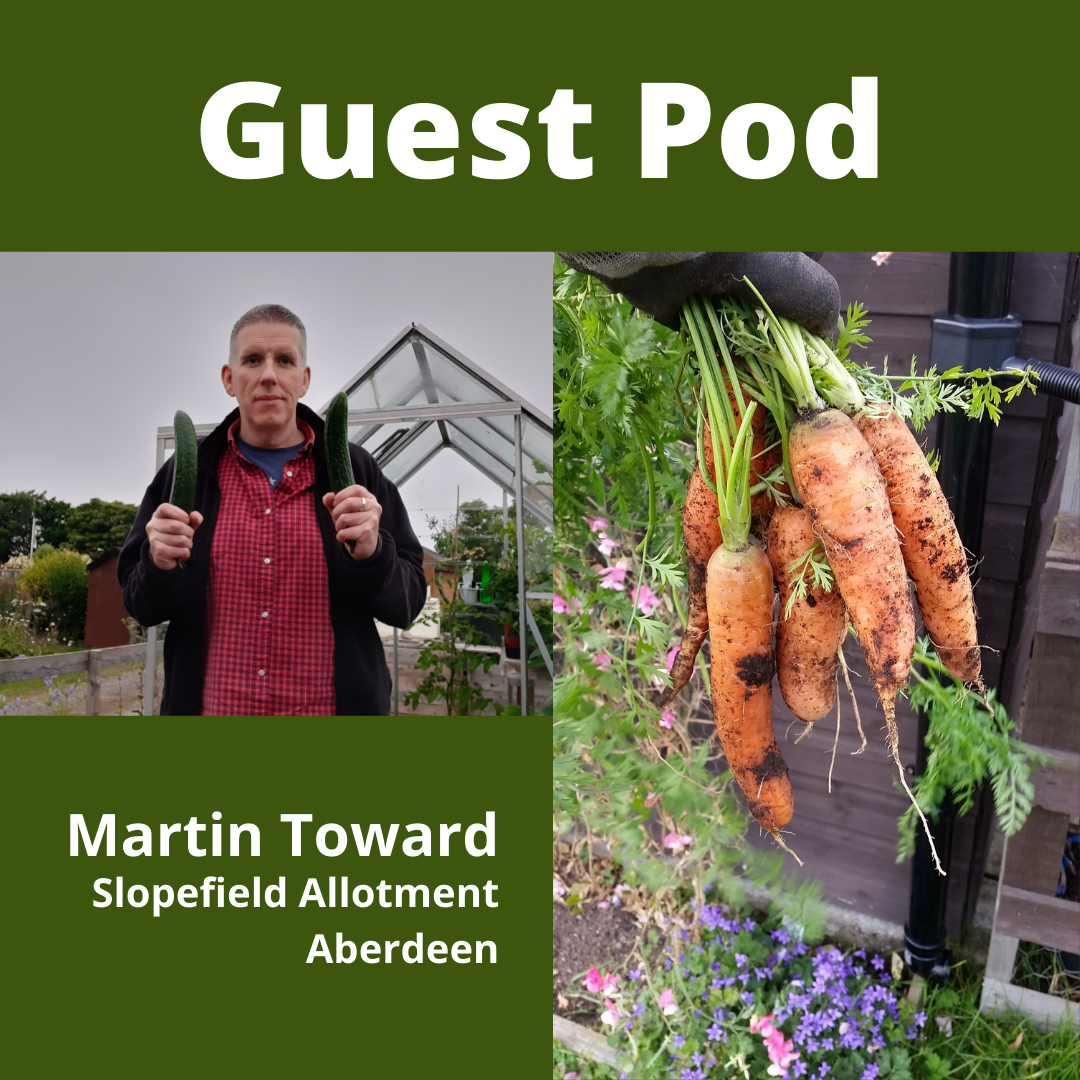 Guest Pod - ONE SEED FORWARD